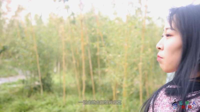 《爱你错错错》爱上你不是我的错,是我当时太年少