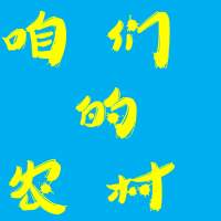 咱们的农村