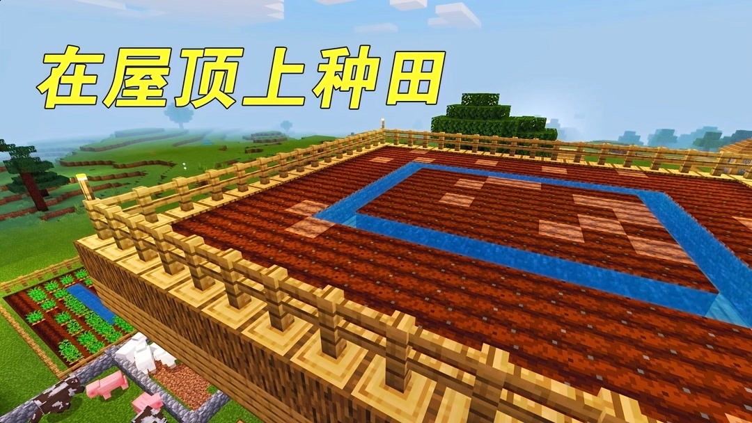 我的世界:在房顶上种田!收菜太方便了,能存活吗?