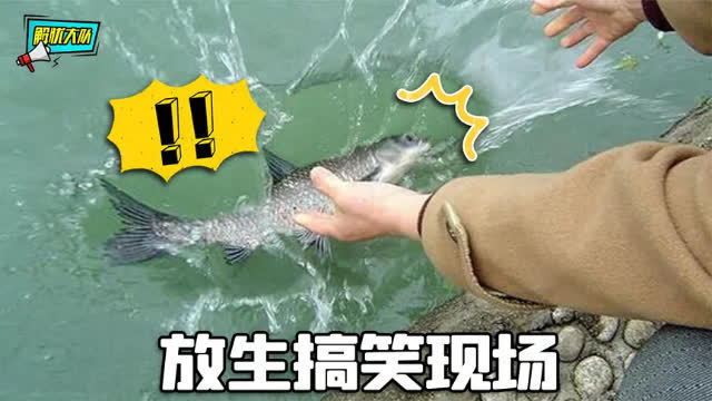 放生动物翻车现场,你们这操作是放生还是杀生