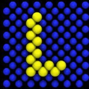 Bob-分子模拟 