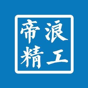 帝浪表 