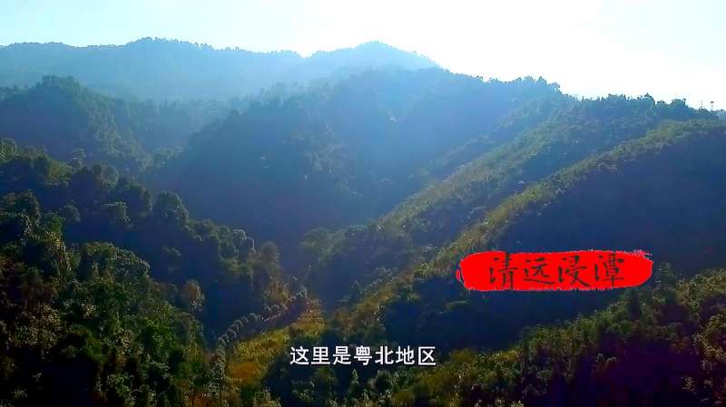 来自养菇老人的智慧,他用手一摸就知道粤北香菇的生长程度