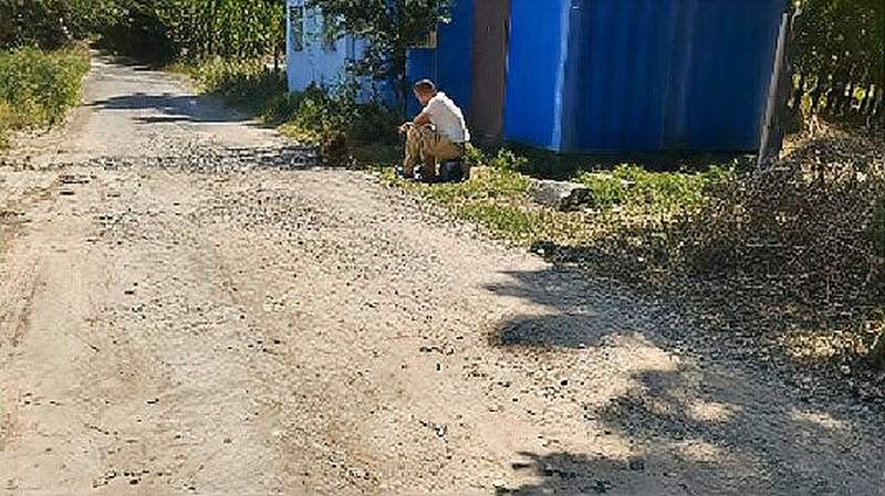 金毛寻回犬是位列世界犬种智商排行的第四名