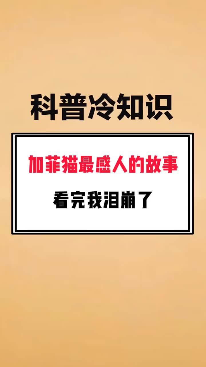 加菲猫最感人的故事,看完我泪崩了… #学生党 #动画