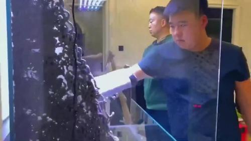 一米五的鱼缸暴力造景,其实都是些精细的手工活,太美了。