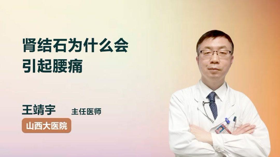 肾结石为什么会引起腰痛