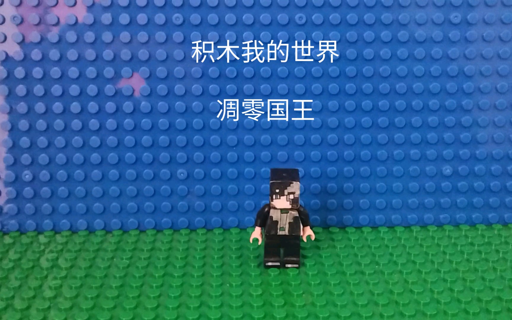 积木,我的世界自制人仔《动画人生》凋零国王