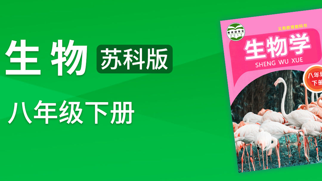 15、传染病的传播和预防