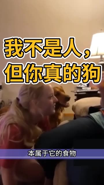 我不是人,但你真的狗! #搞笑 #今日迷惑行为 #五一评论游世界 @快手...