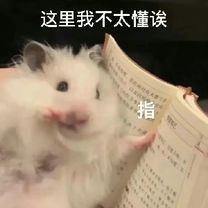 看到的人赶快去学习 