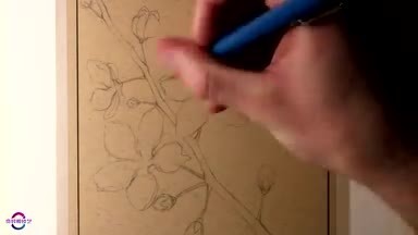 DIY如何用彩铅画...