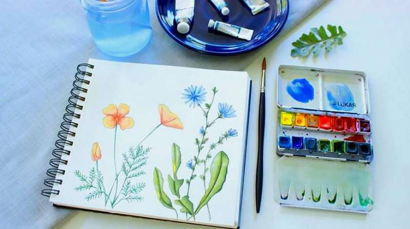 新手入门可学的水彩绘画视频教程,教你如何绘制花朵