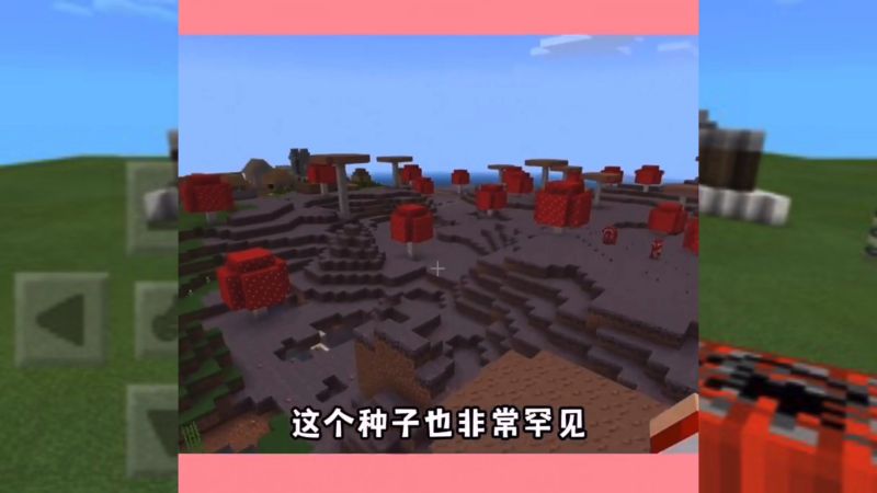 我的世界:最稀有的三个种子,你有遇到过吗?