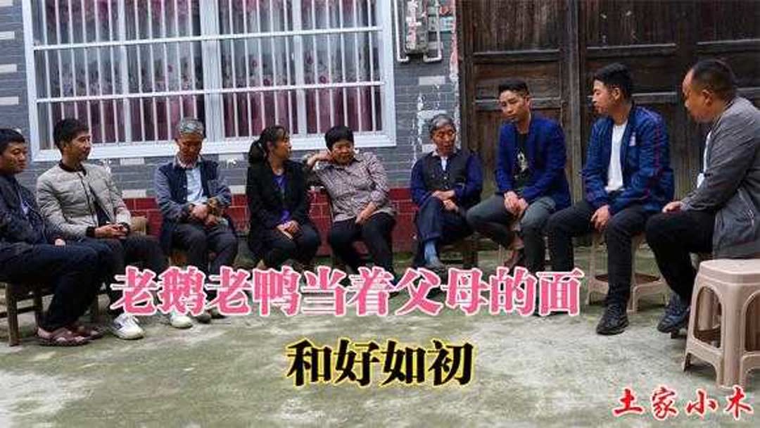 今天开家庭会议,老鹅老鸭两兄弟和好如初,小木真诚的向大家道歉