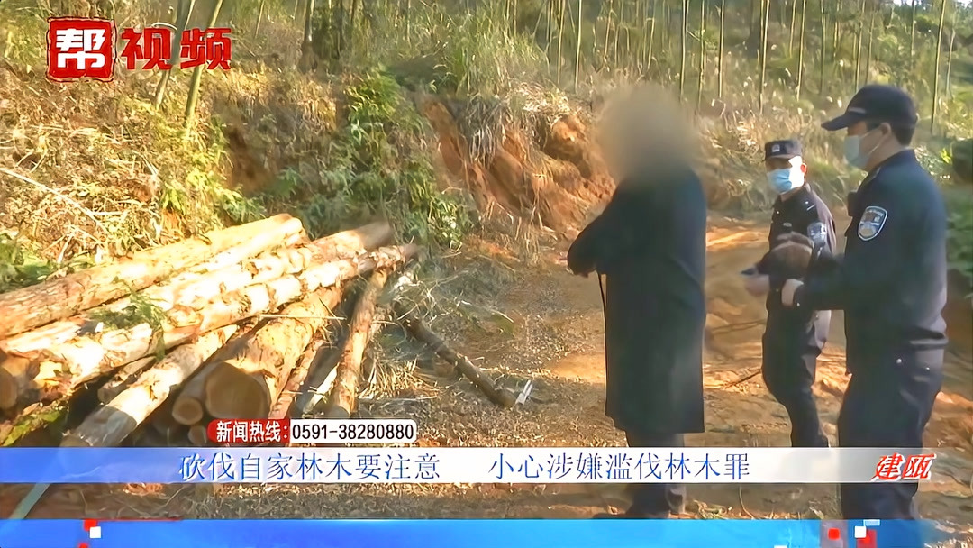 男子无证砍伐林木,蓄积量超30立方米,民警:砍自家的也违法