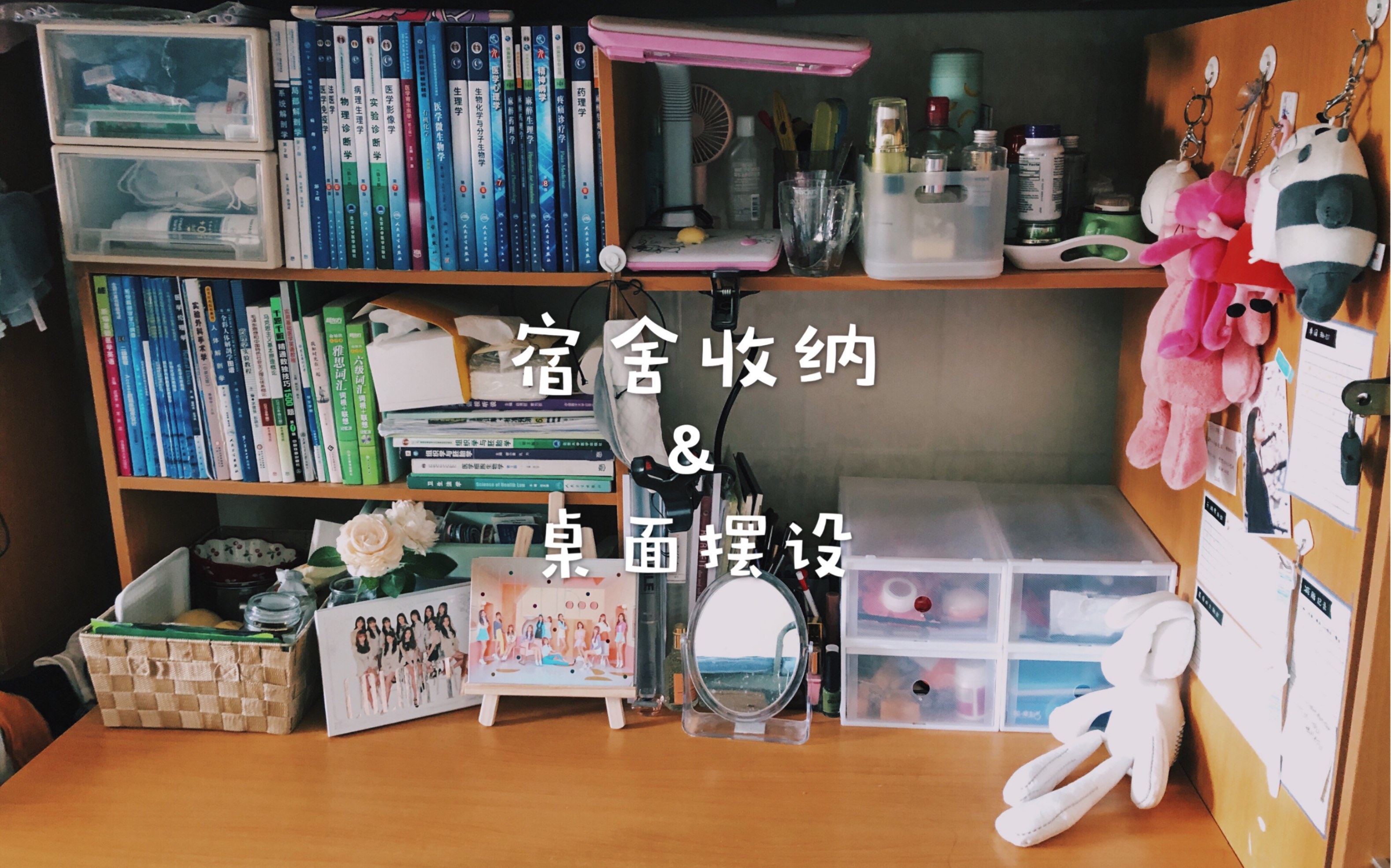 room tour|宿舍收纳|桌面布置|上床下桌|医学生|看看我宿舍的布置吧