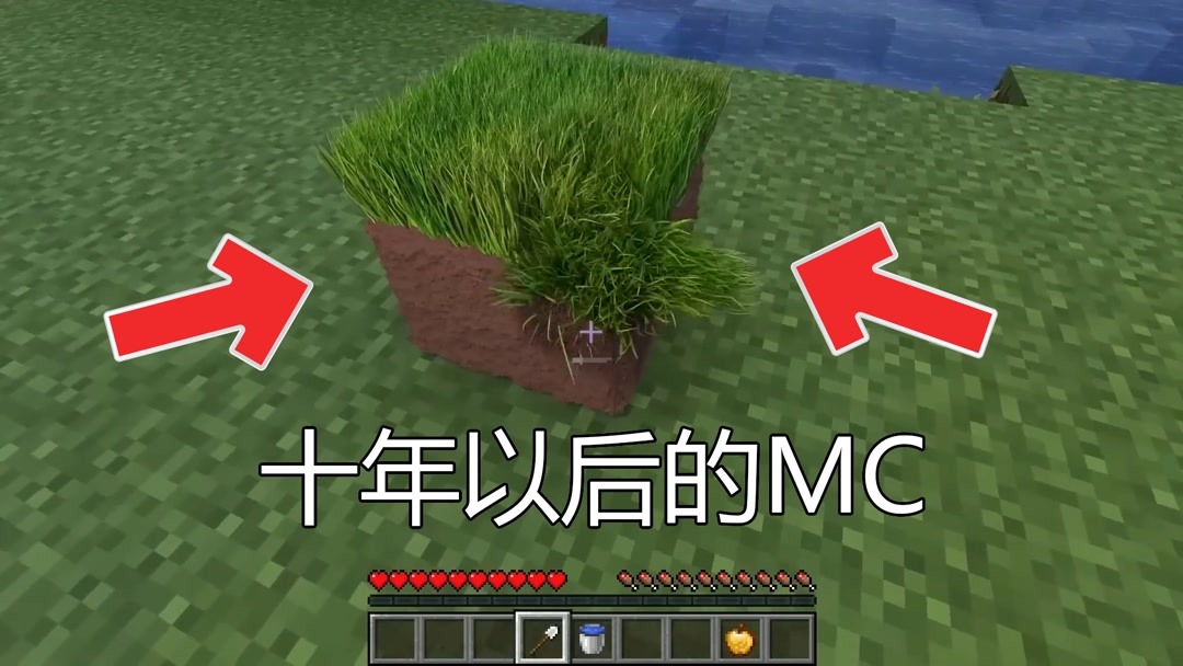 我的世界:不一样的MC!和现实一样的草方块?