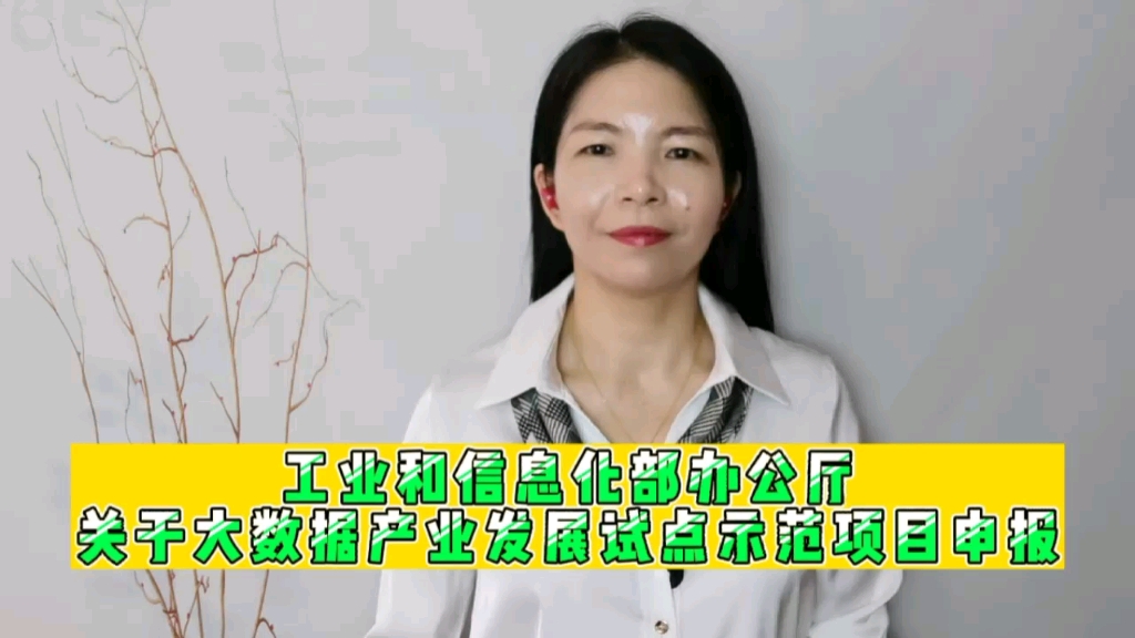 工业和信息化部办公厅关于大数据产业发展试点示范项目申报