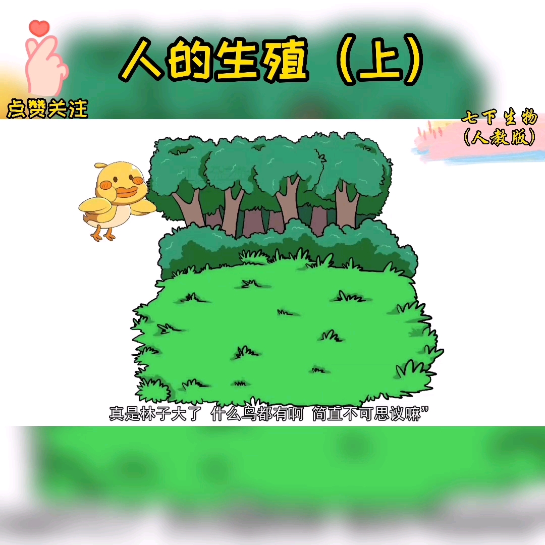 人教版|七下生物《人的生殖(上)》 我们每个人都是父母最好的、独一无...