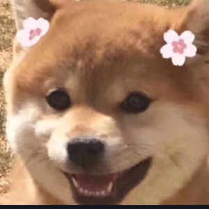 伍肆柒柒柒柒柒 