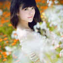 小飞的游戏世界 