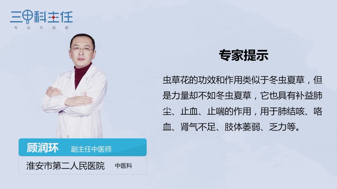 虫草花的功效与作用是什么