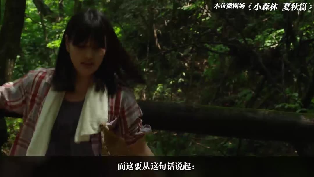 【木鱼微剧场】《小森林夏秋篇》