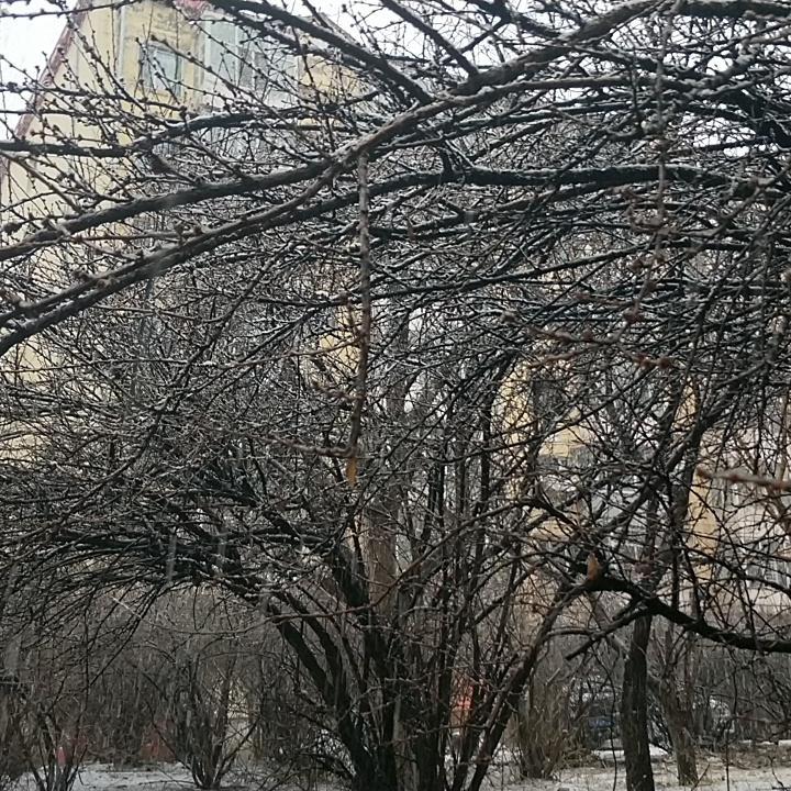 防腐层123 