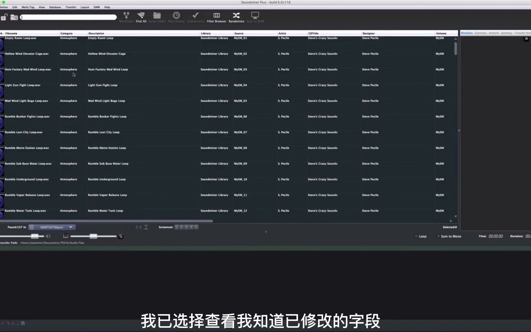 中文字幕 8.64 bit Soundminer BasicPlus - Metadata Management