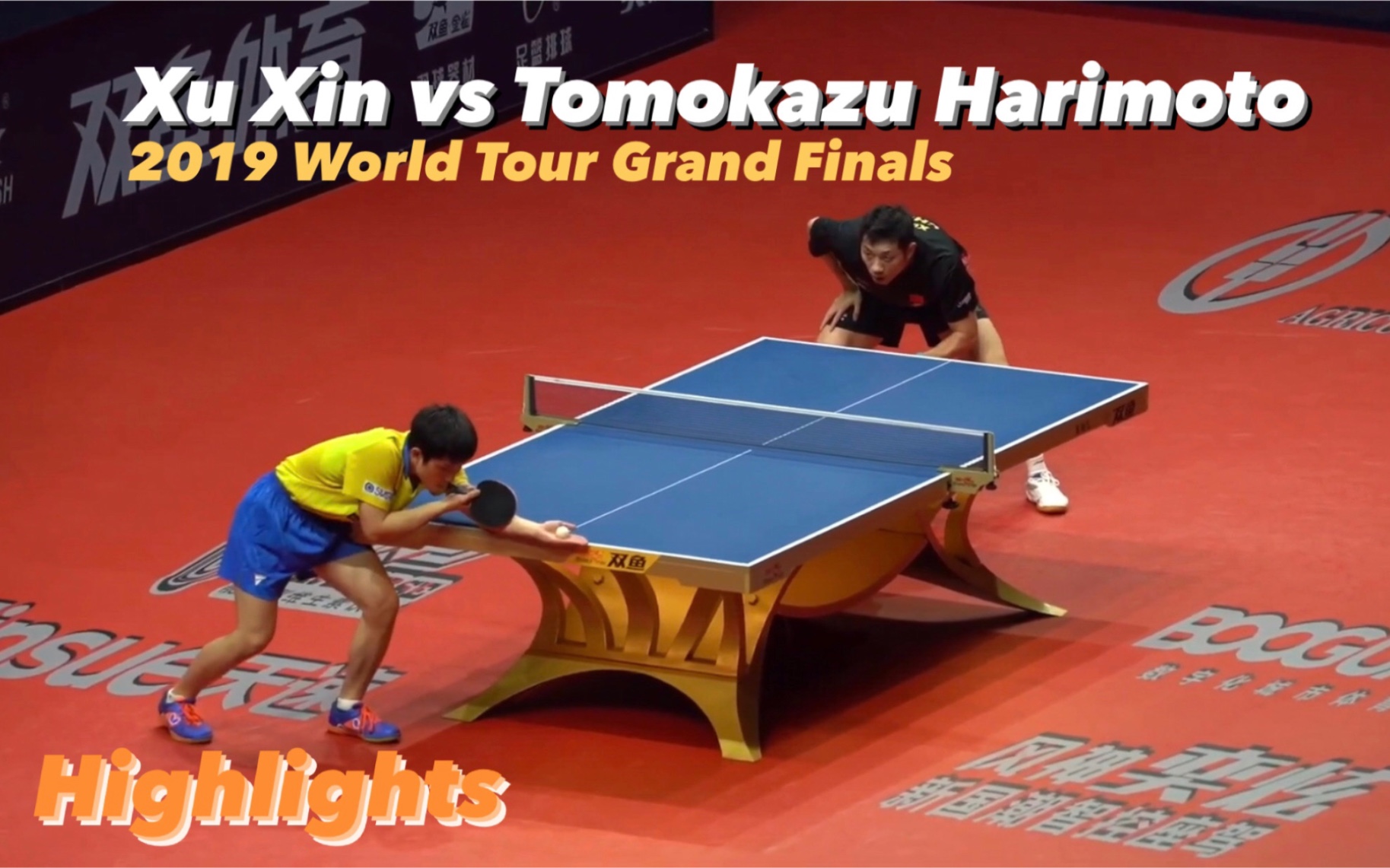 《2019最好看的一场》许昕 vs 张本智和 HD Highlights