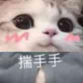 十年伴生 