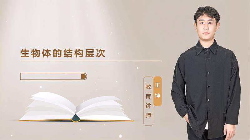 生物体的结构层次