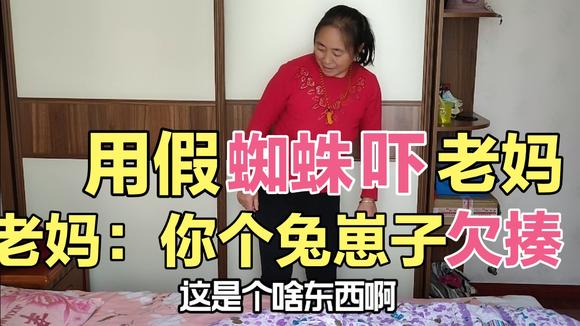 用模型蜘蛛吓老妈,掀起被子那一刻,她懵了!