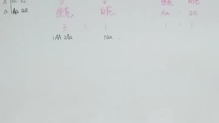 高中生物面试真题汇总109页,基因分离定律,测交实验。高中生物面试...