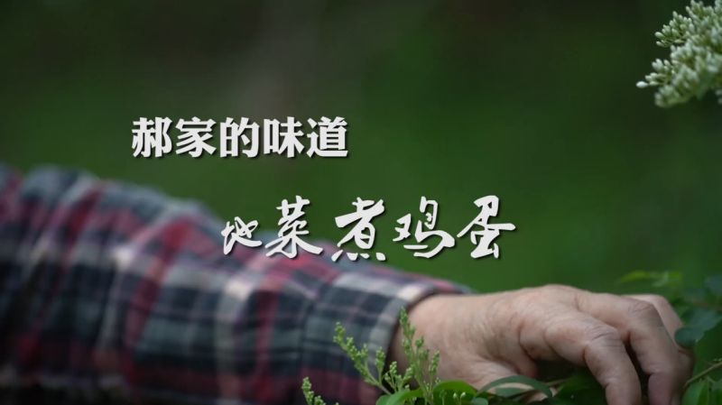 郝家的味道-地菜煮鸡蛋