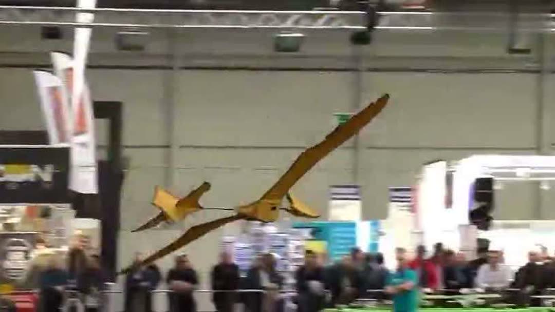 神奇的鸟扑翼飞行模型RC 难以置信的室内飞行演示
