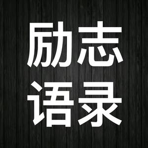 路晨语录 
