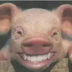 老蒋小夏旅行记 