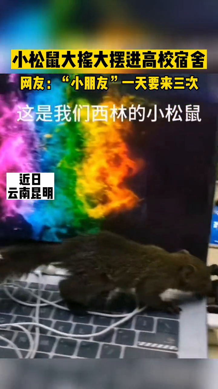 想不想摸?欢迎报考西南林业大学