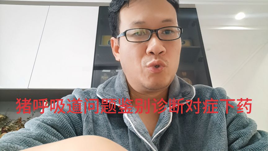 猪场猪呼吸道问题鉴别诊断对症下药!中药方案:免疫安+霉解联康