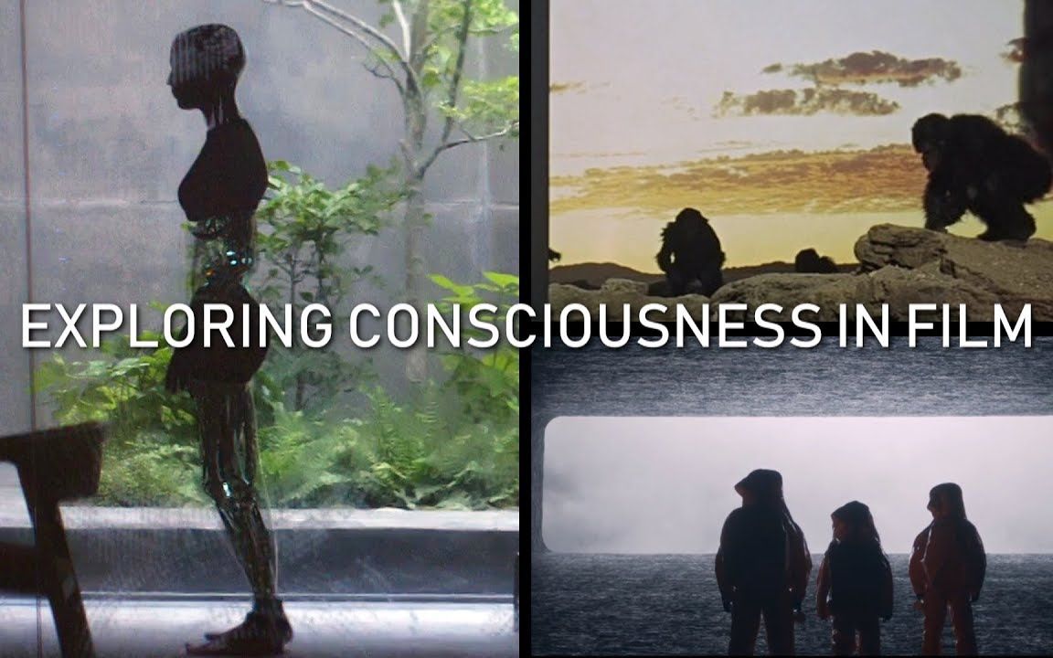 【他心问题:电影如何探索意识 / The Problem of Other Minds – How ...