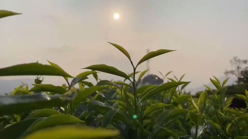 平凡的岗位不平凡的坚守