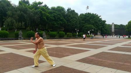 杨式太极拳88式