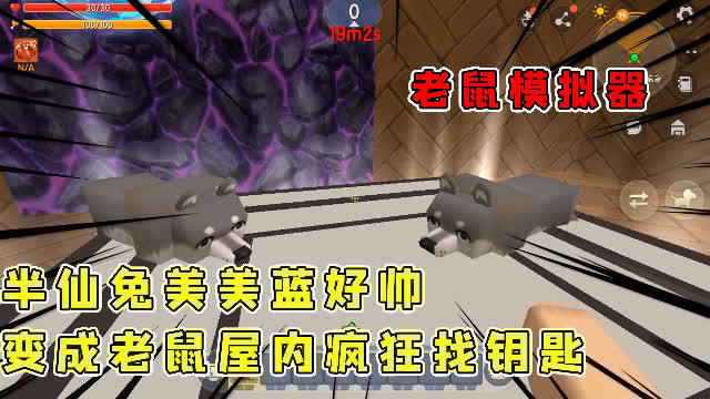 迷你世界:老鼠模拟器,半仙兔美美蓝好帅变成老鼠,在房间找钥匙