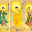 释灯度 