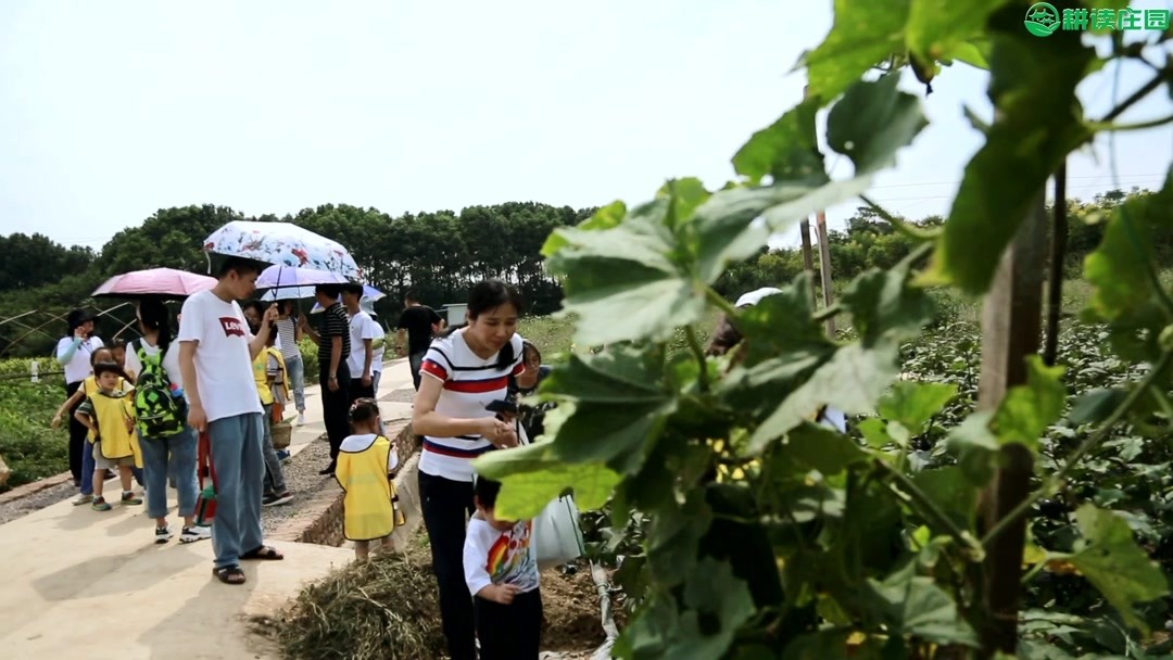 武汉耕读庄园研学实践教育基地-宣传片