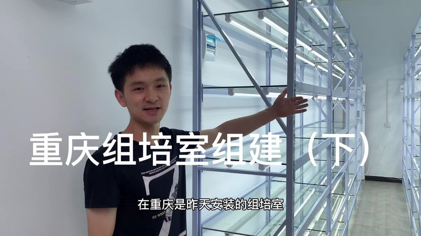重庆市组培室组建圆满完成,来一起参观下。#组培 #实验室