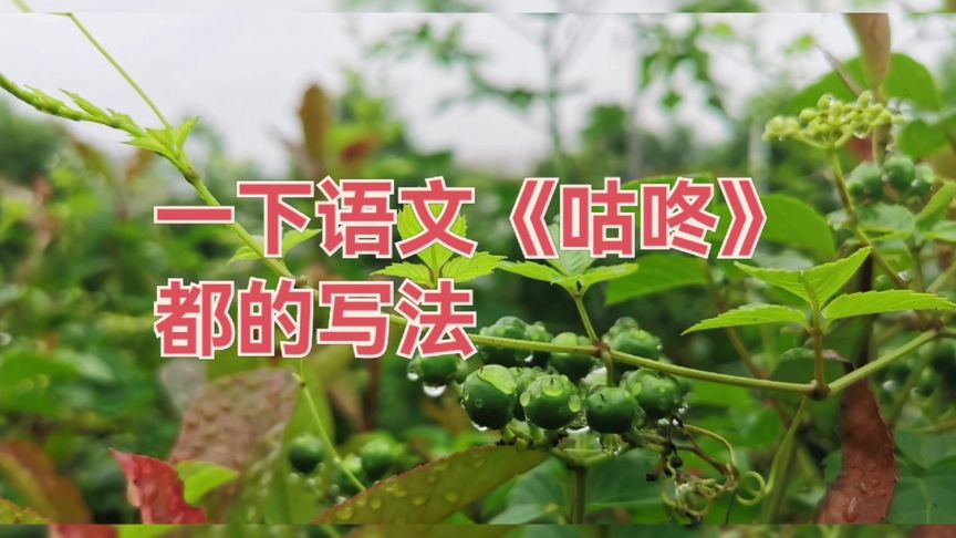 一下语文《咕咚》,生字都的写法,都有,都是