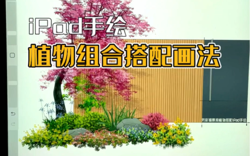 花境植物搭配组合iPad手绘设计画法#园林景观#景观手绘#庭院花园#...